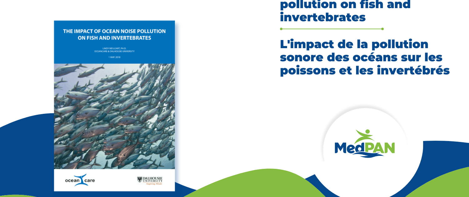 L'impact de la pollution sonore des océans sur les poissons et les ...