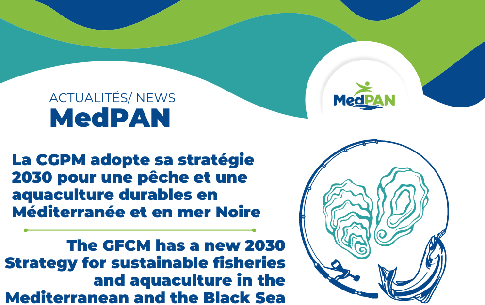 La CGPM adopte sa stratégie 2030 pour une pêche et une aquaculture ...