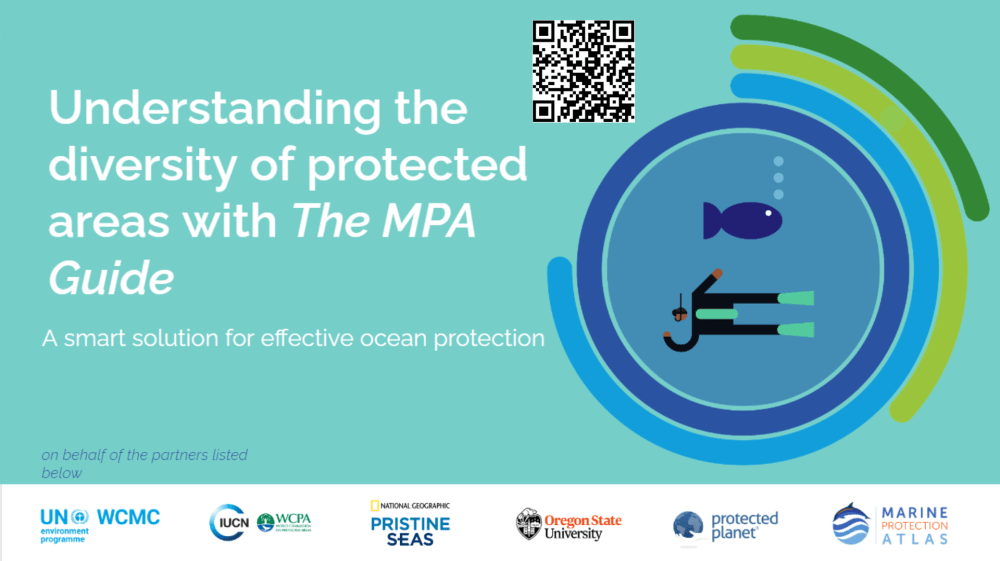 Key takeaways from the webinar: Understanding the diversity of ...