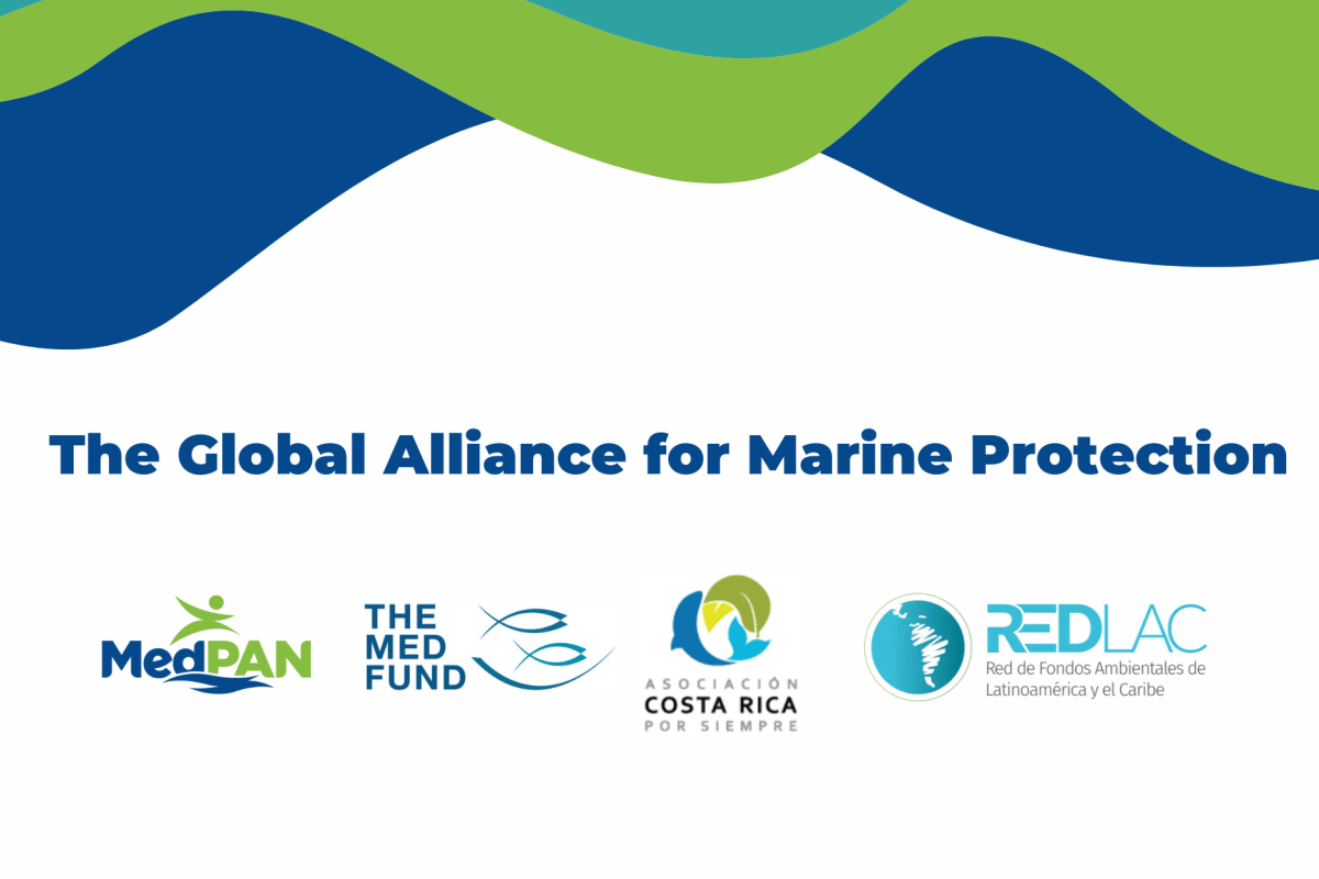 Global Marine Logo
