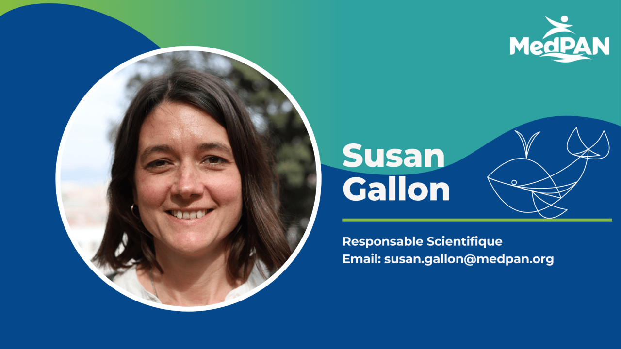 Secrétariat | MedPAN - Le réseau des gestionnaires d'Aires Marine Protégées