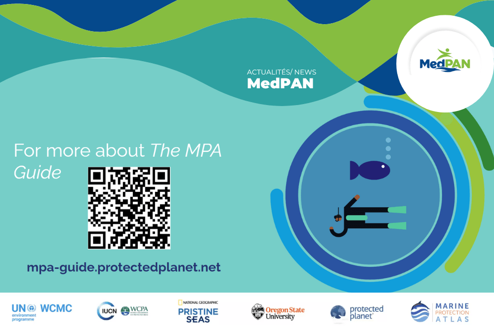 Key takeaways from the webinar: Understanding the diversity of ...