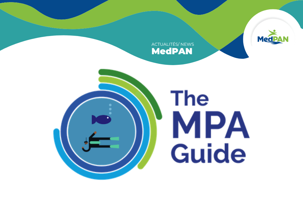 Take part in our webinar: Understanding the diversity of protected ...