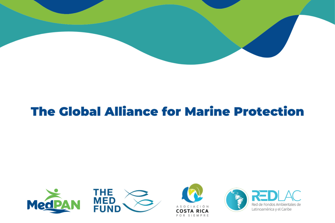 The Global Alliance for Marine Protection | MedPAN - Le réseau des ...
