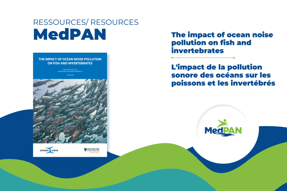 L'impact de la pollution sonore des océans sur les poissons et les ...