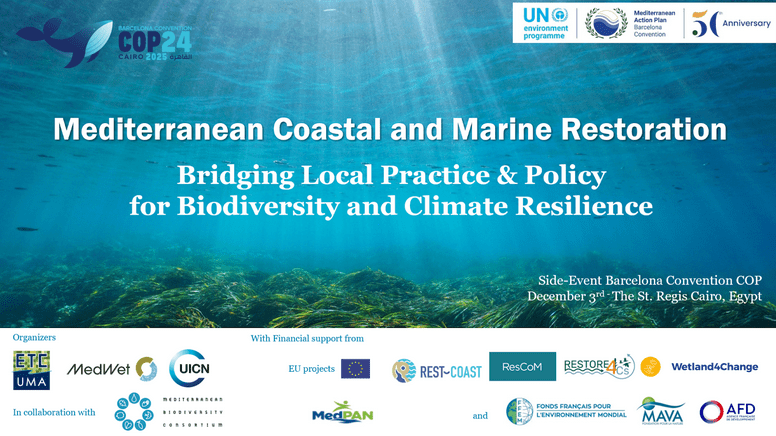 MedPAN at COP24: Fostering marine conservation and advancing a Regional ...