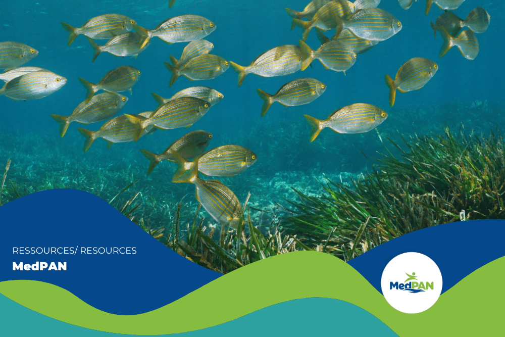 Report on nature restoration in Europe: where are we in 2026? | MedPAN ...
