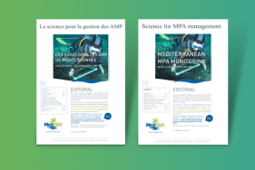 Mediterranean MPA monitoring. What is going on in my MPA? | MedPAN - Le ...