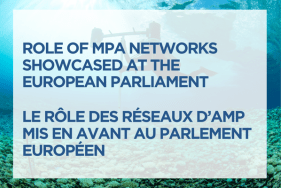 Role of MPA Networks showcased at the European parliament | MedPAN - Le ...