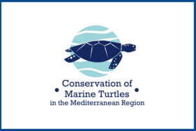 Conservation of Marine Turtles in the Mediterranean Region | MedPAN ...