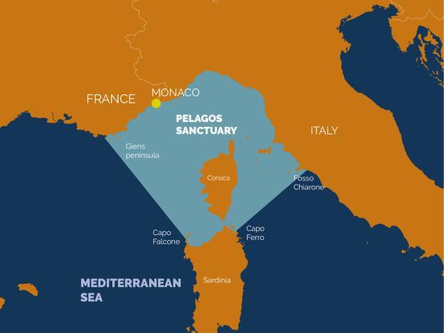 25th Anniversary of the Pelagos Agreement! | MedPAN - Le réseau des ...