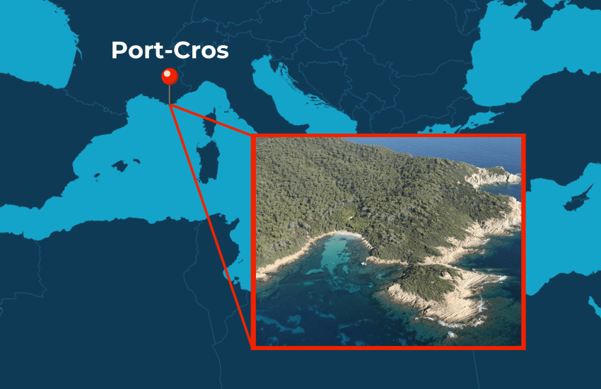 Une AMP à succès : le Parc National de Port-Cros, un des plus anciens ...
