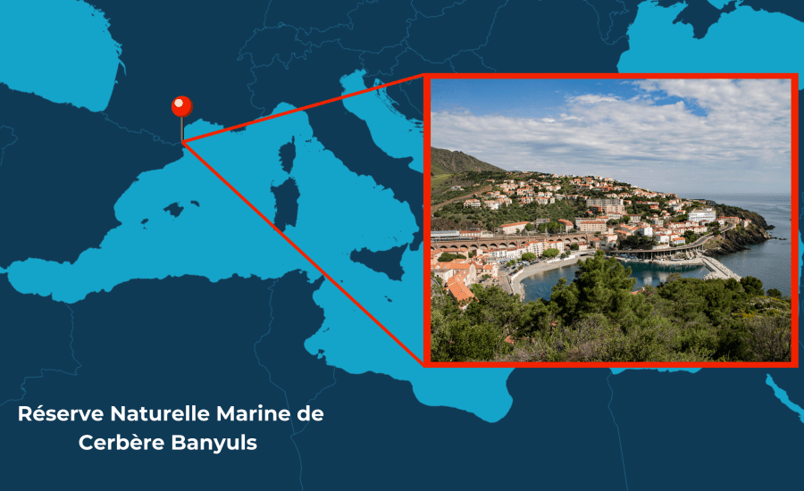 MPA Success Story : 45 years of good results in conservation and ...